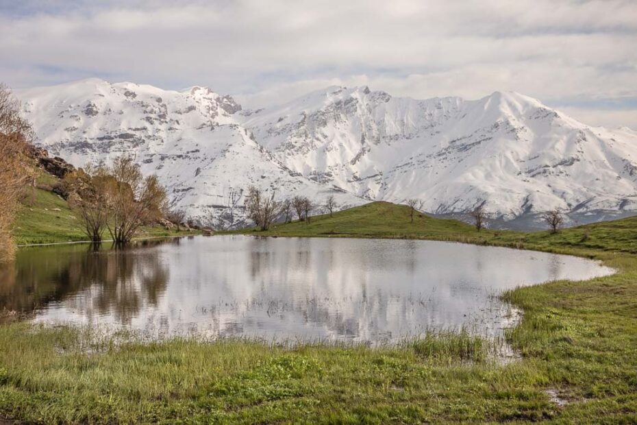 R&D Centers – The deanship of R&D centers at Koya University serves as ...